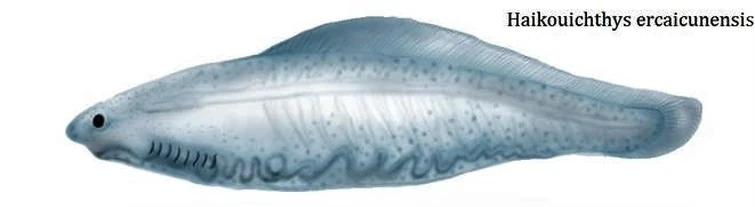 Top 10 underrated prehistoric animals | Fandom