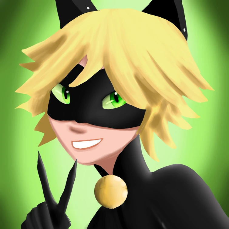 Catnoir digital art | Fandom