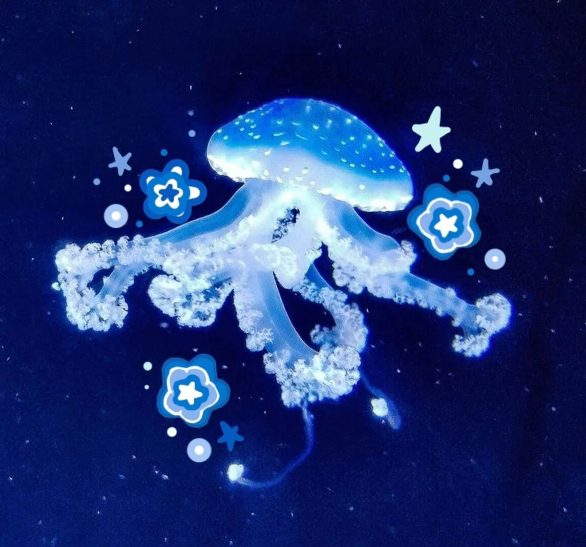 We need a jellyfish dragon!! | Fandom