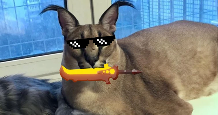 Floppa cute :D | Fandom