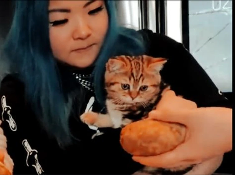 Discuss Everything About ItsFunneh Wikia | Fandom