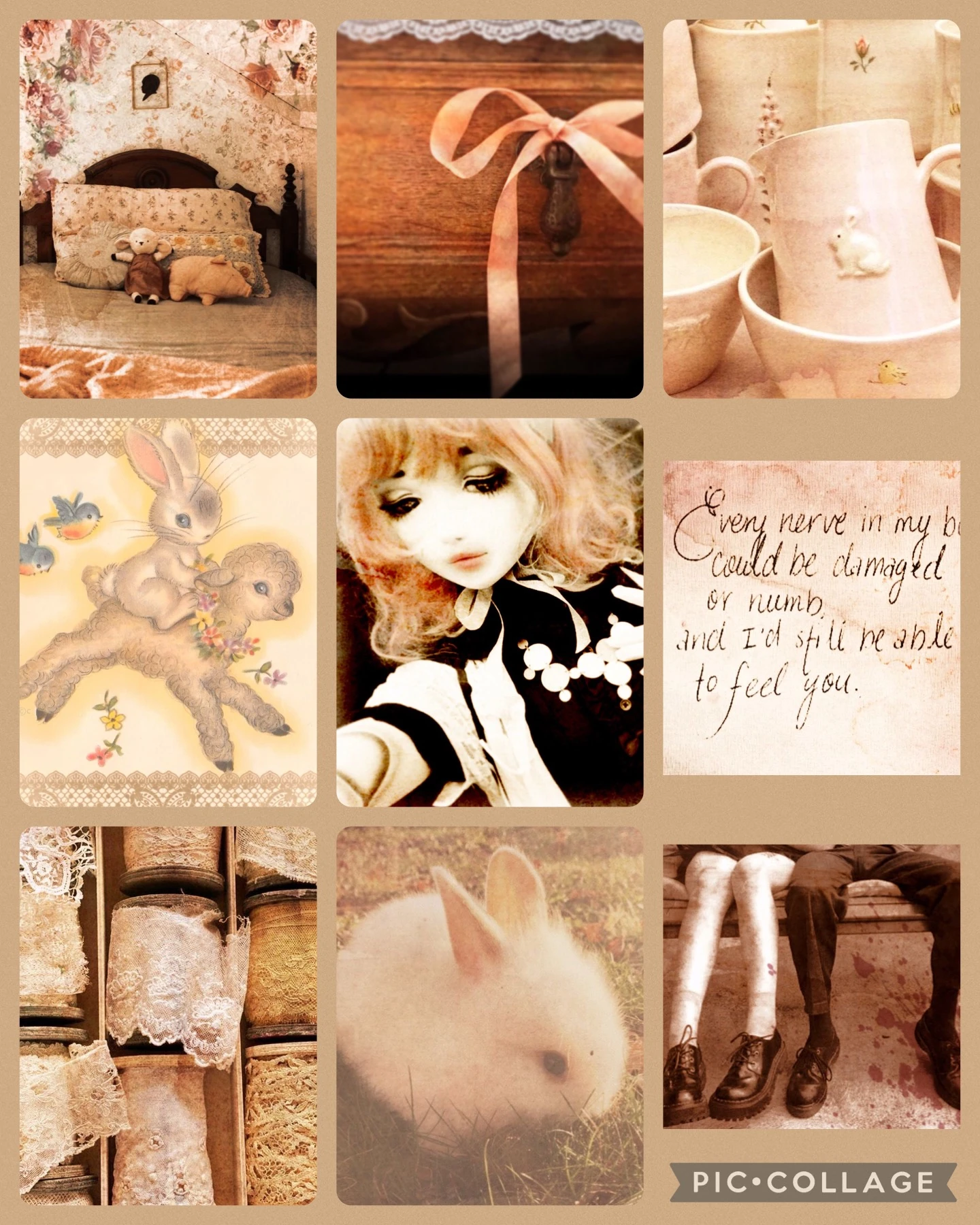 AESTHETIC NEWS: Morute evolutions | Fandom