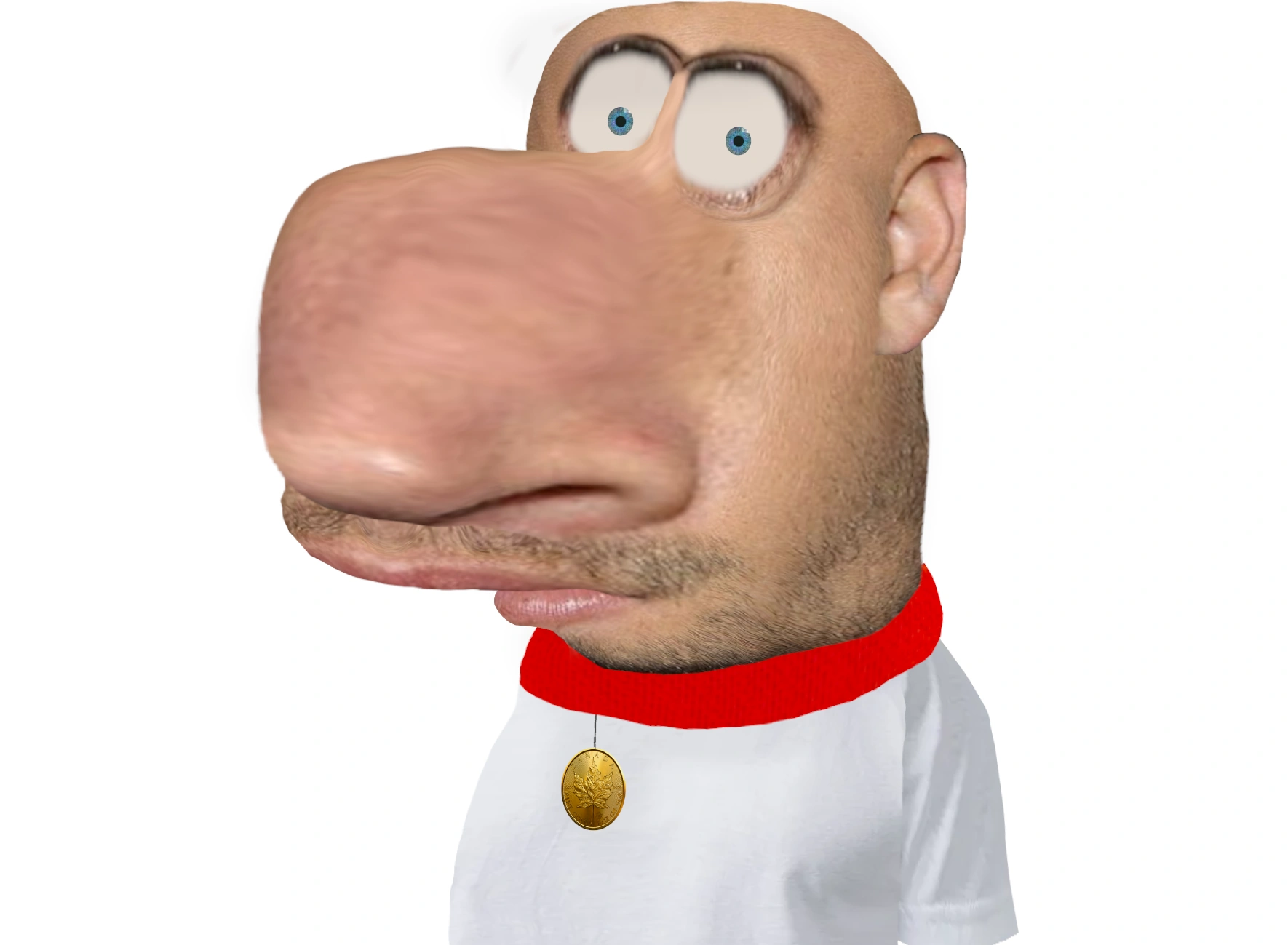 what do you think of brian griffin's true face | Fandom