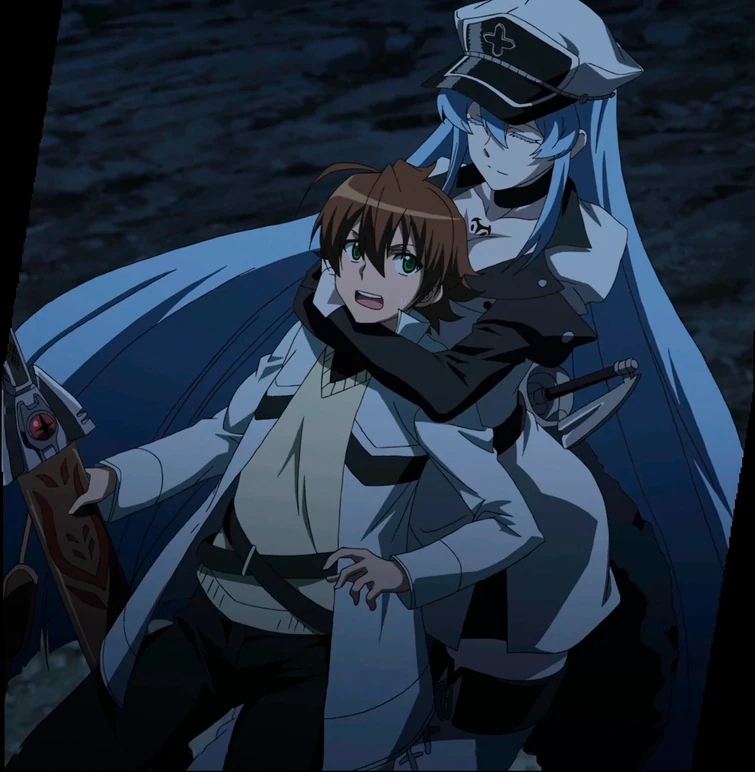 If Esdeath fell in love with your favorite combatant, how well does it ...