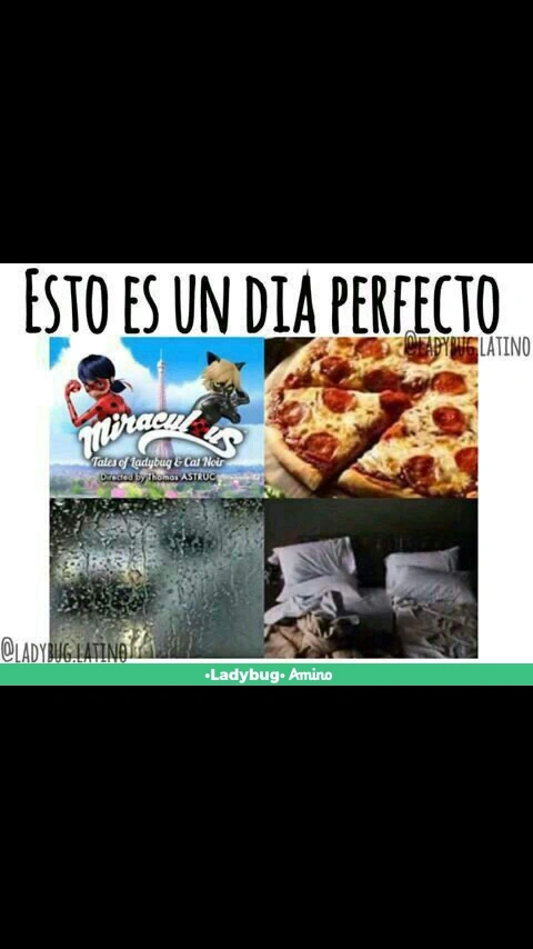 Un dia perfecto | Fandom