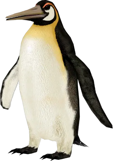 Discuss Everything About Prehistoria Fandom | Fandom