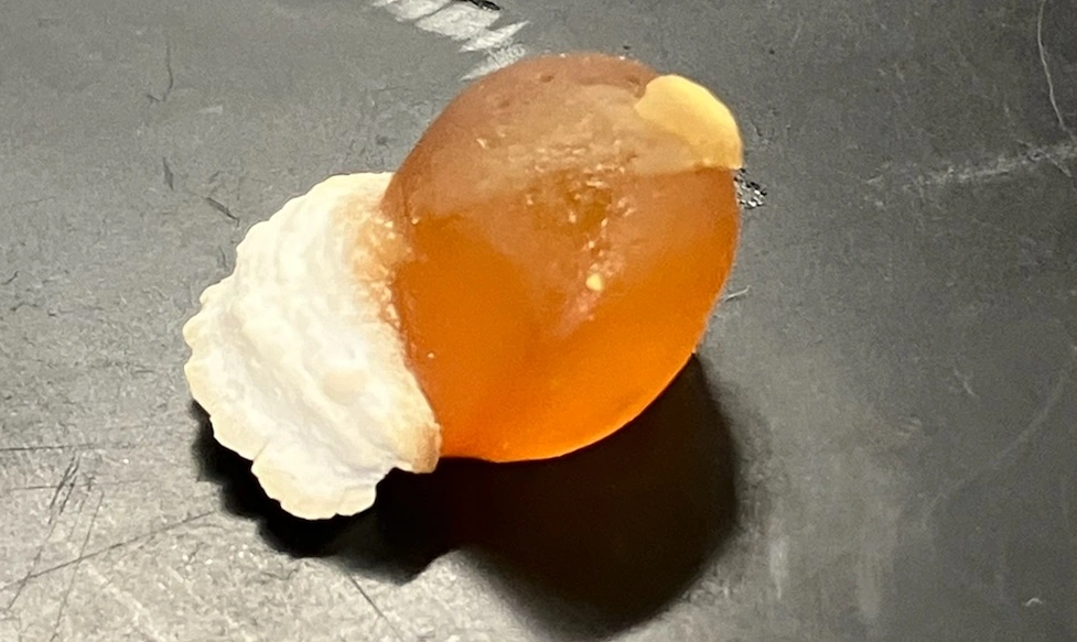 mmmm...🤤 | Fandom