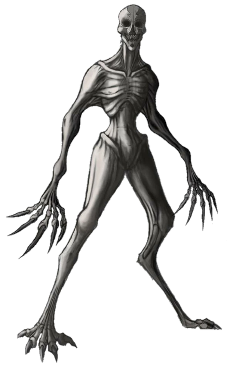 so... 2 questions | Fandom