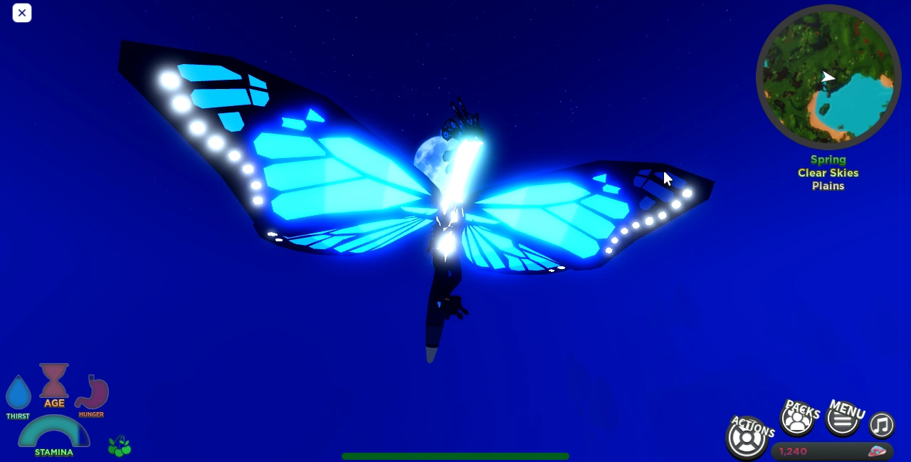 I got this gorgeous female momola today | Fandom