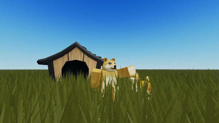 doge concept :) | Fandom