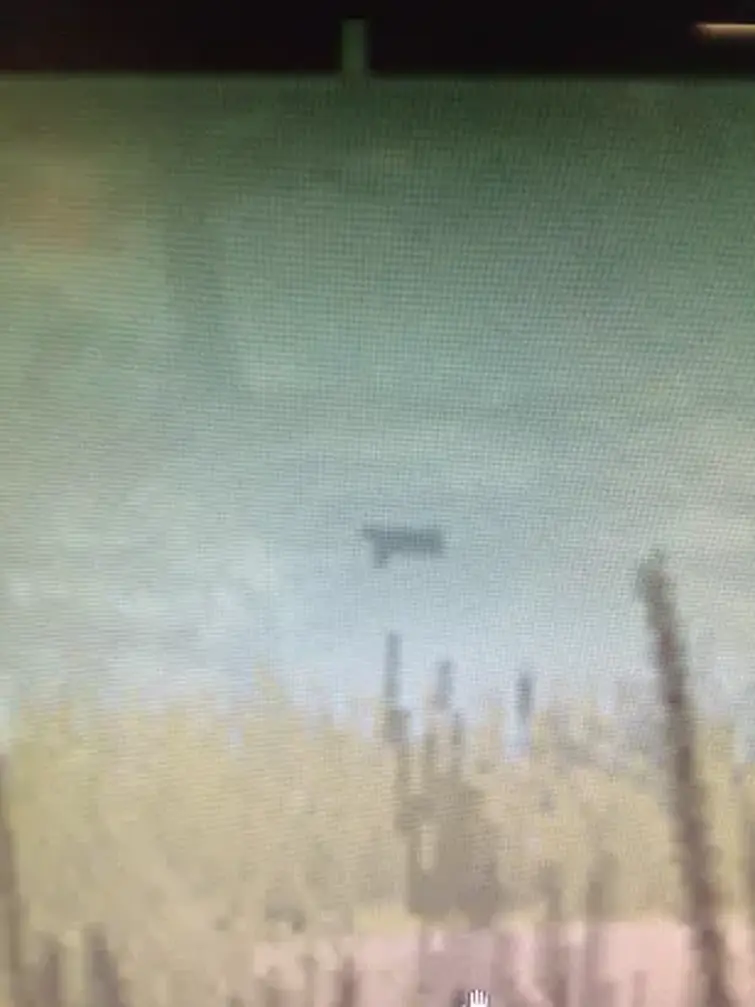 WE FINALLY GOT PROOF ON EYEBLEED'S PAGE! | Fandom