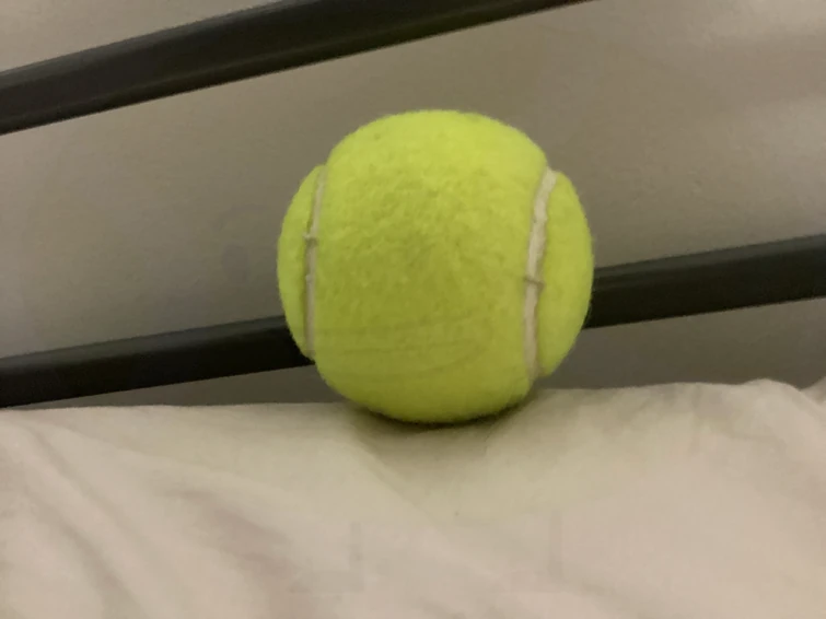it’s just a normal tennis ball… it’s just a normal tennis ball… it’s ...