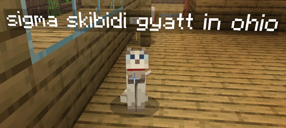 My minecraft cat 🤩 | Fandom