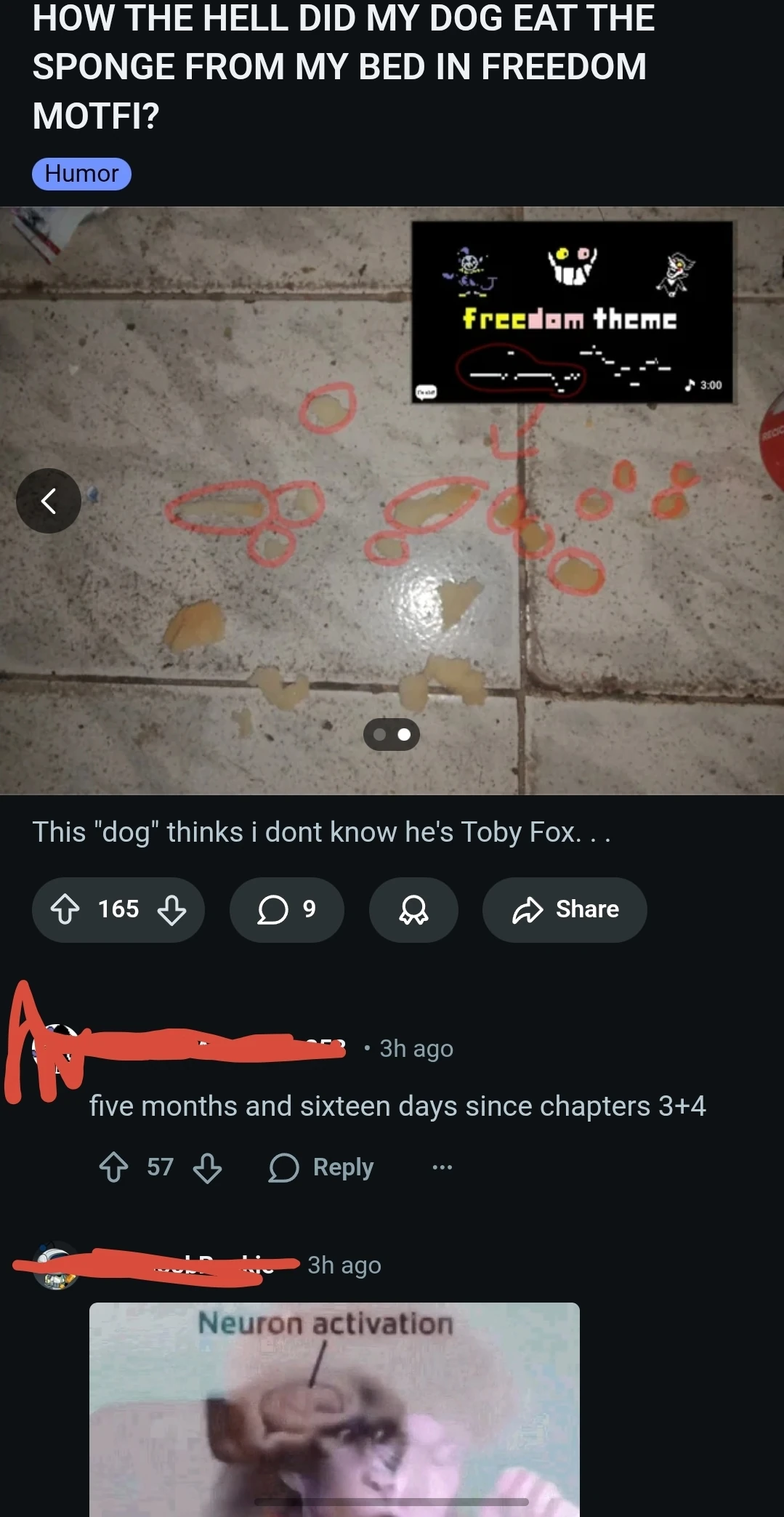 Daily yoro shitpost to get off the sh4yy topic | Fandom