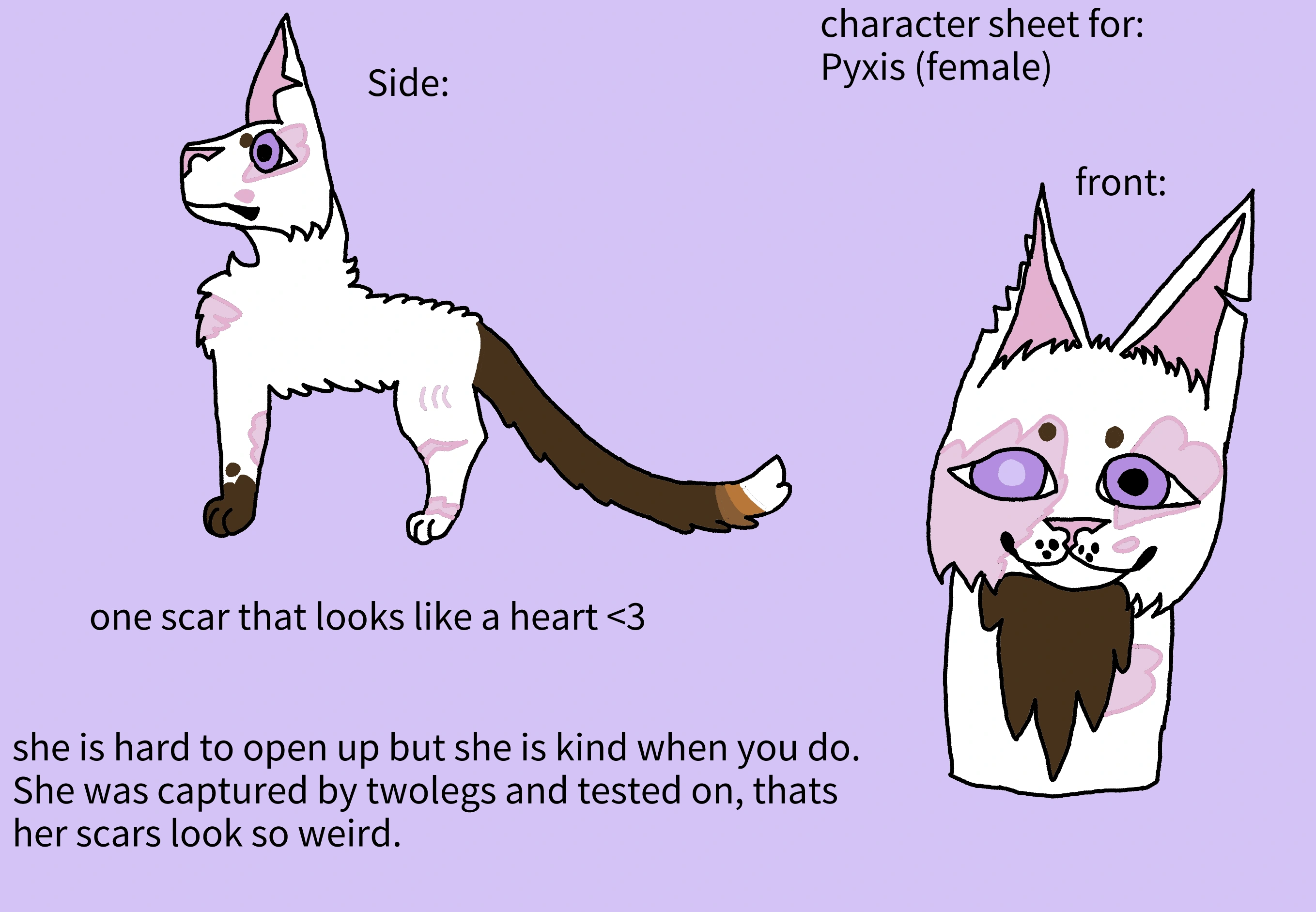 Finshed the character sheet for my new oc tw scars | Fandom