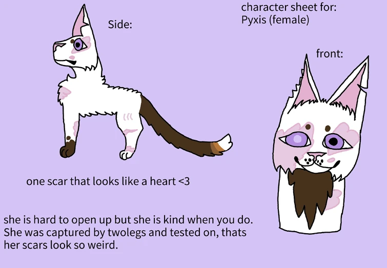 Finshed the character sheet for my new oc tw scars | Fandom