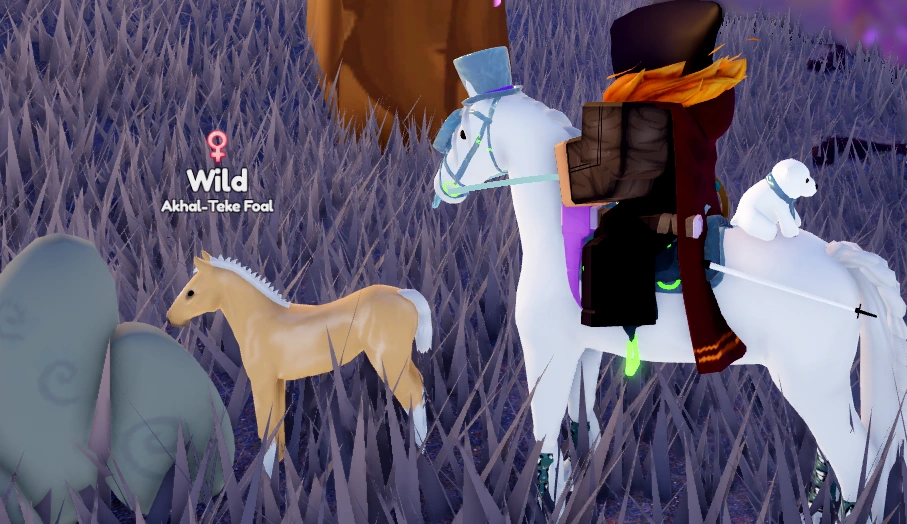 ello little filly | Fandom