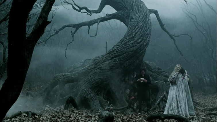Question Theme: Trees | Fandom
