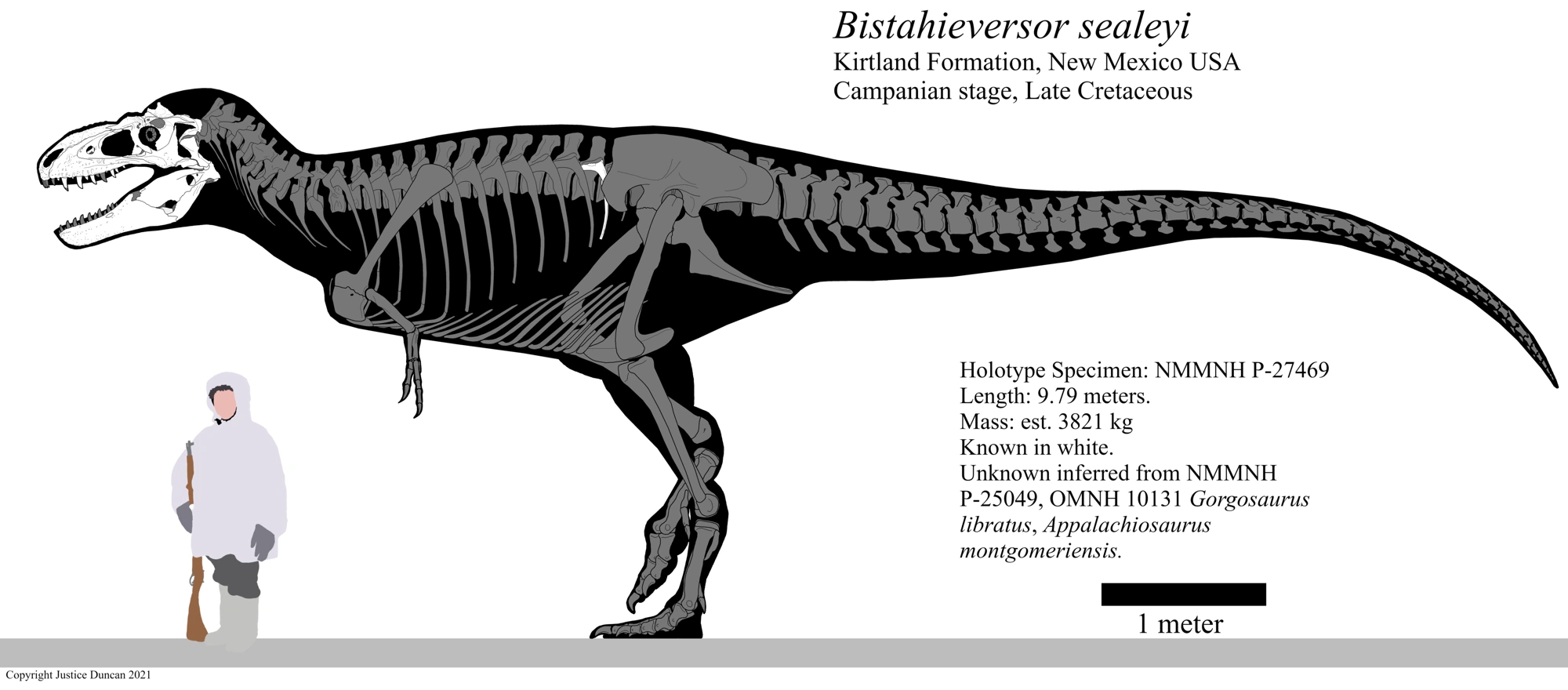Underrated and surprisingly big chad | Fandom