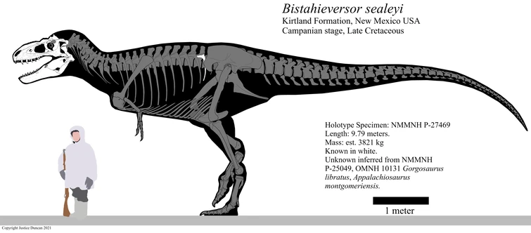 Underrated and surprisingly big chad | Fandom