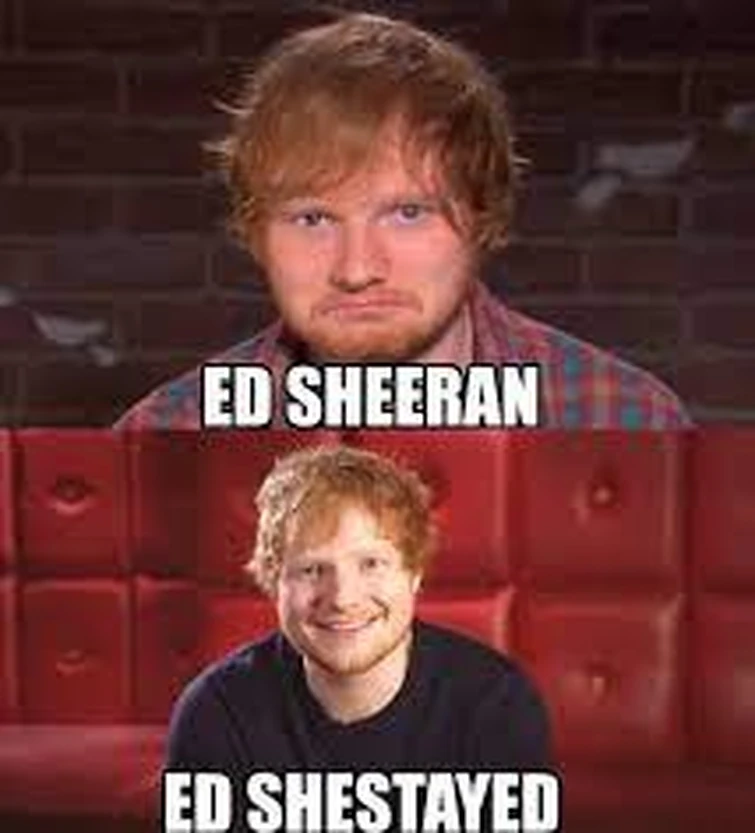 ed sheeran memes | Fandom
