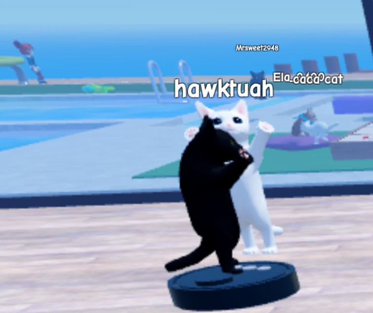 I FOUND THE inseparable DUO | Fandom