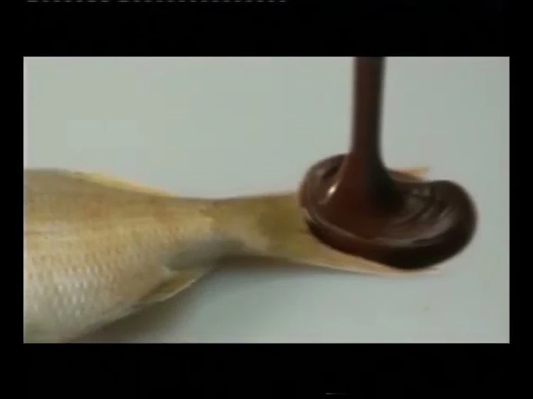 Le fishe au chocalat | Fandom