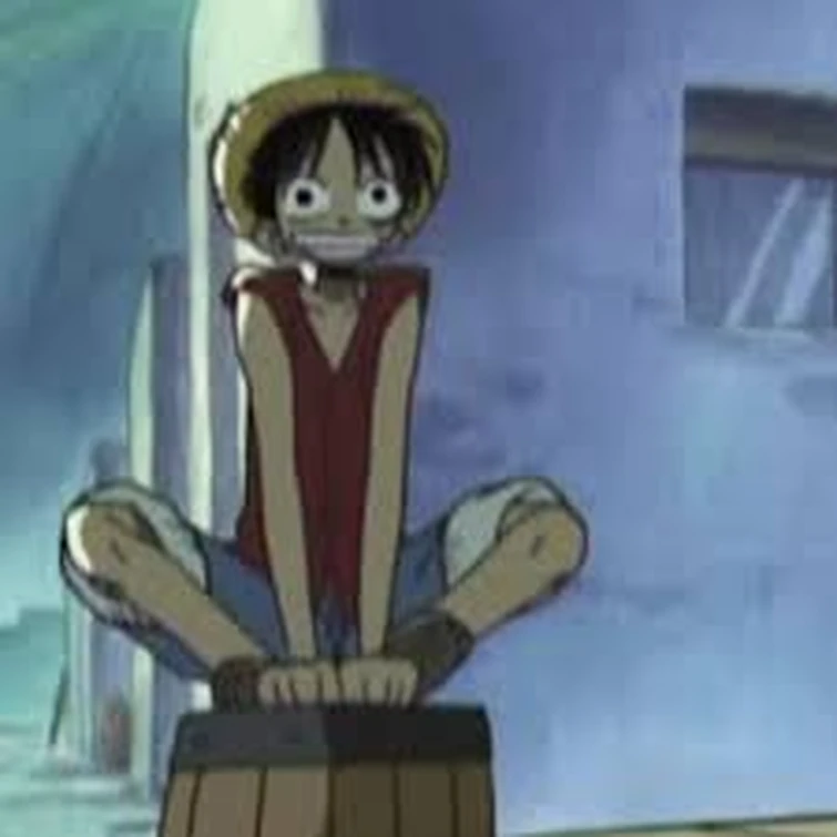 favorite one piece character? off topic | Fandom