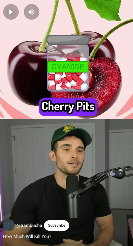 BFDI REFERENCE BFDI REFERENCE BFDI REFERENCE | Fandom