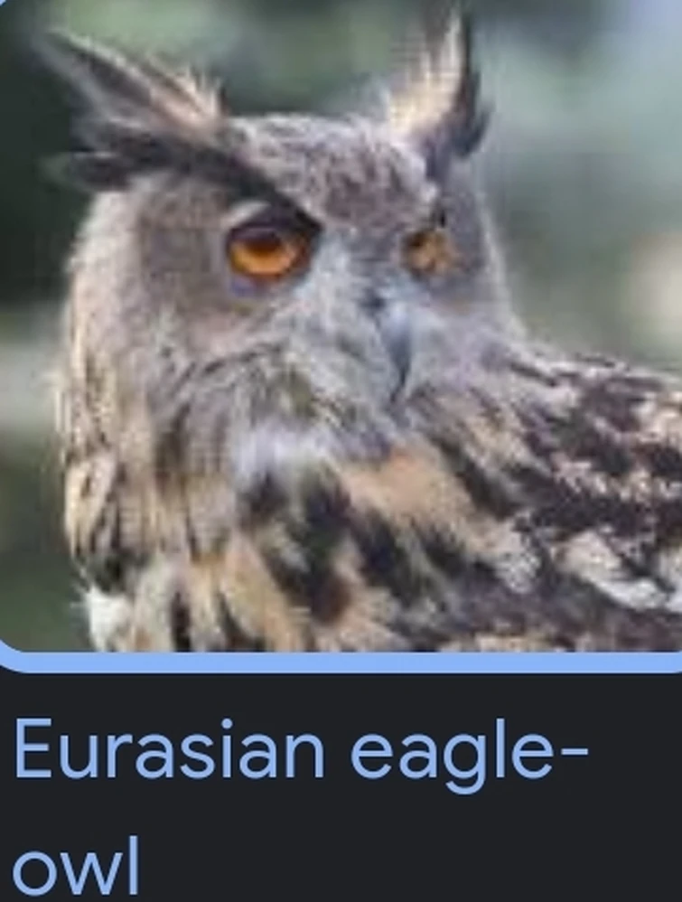 cos creatures irl (VERY diverse) | Fandom