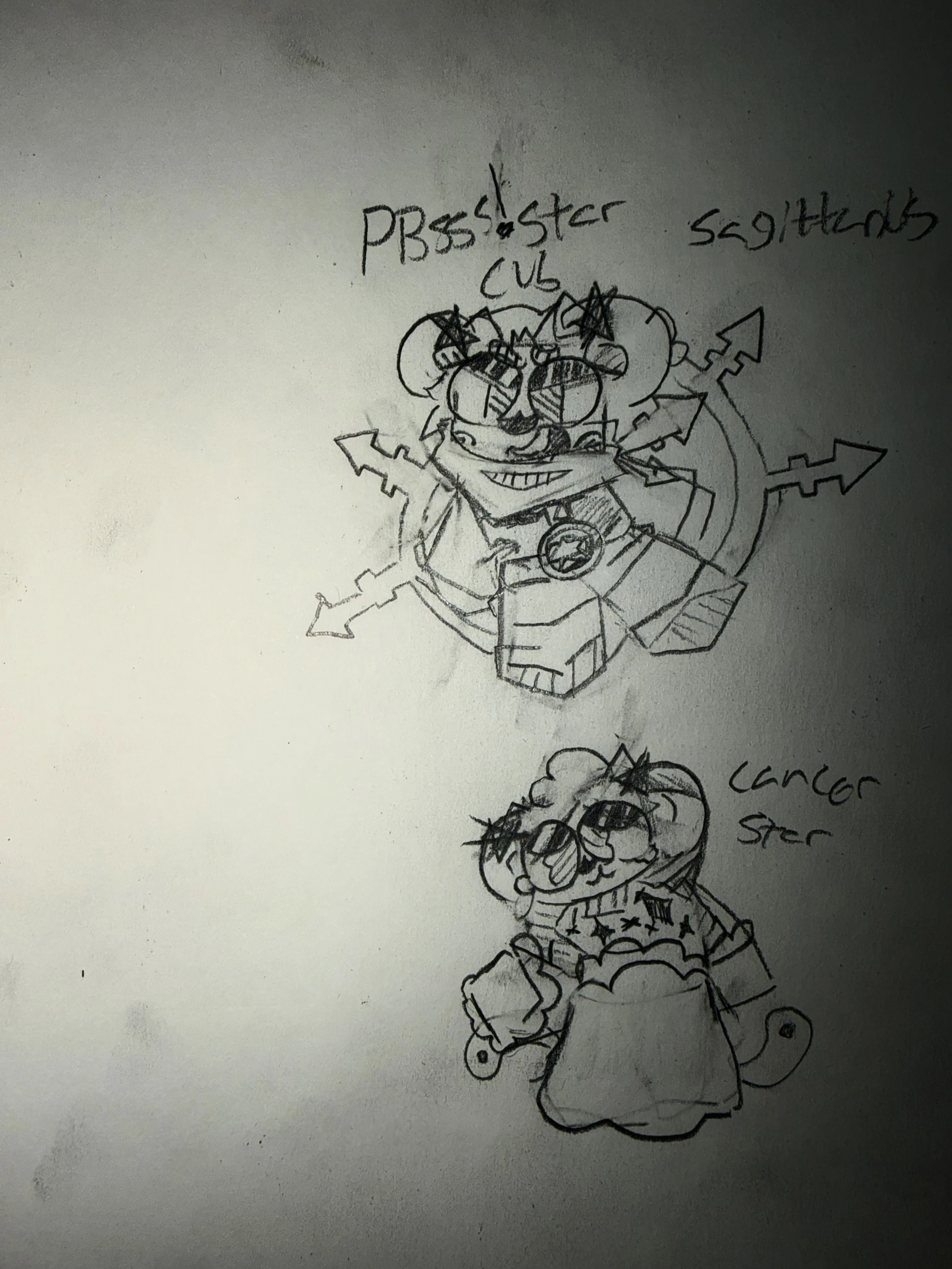 Star Cub Designs 2 (PBSSS) | Fandom