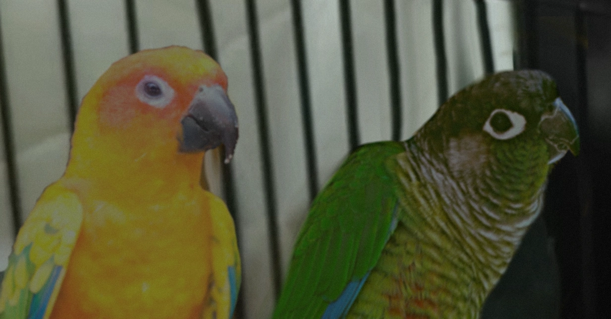 Continue the lyrics because last time it was interrupted | Fandom