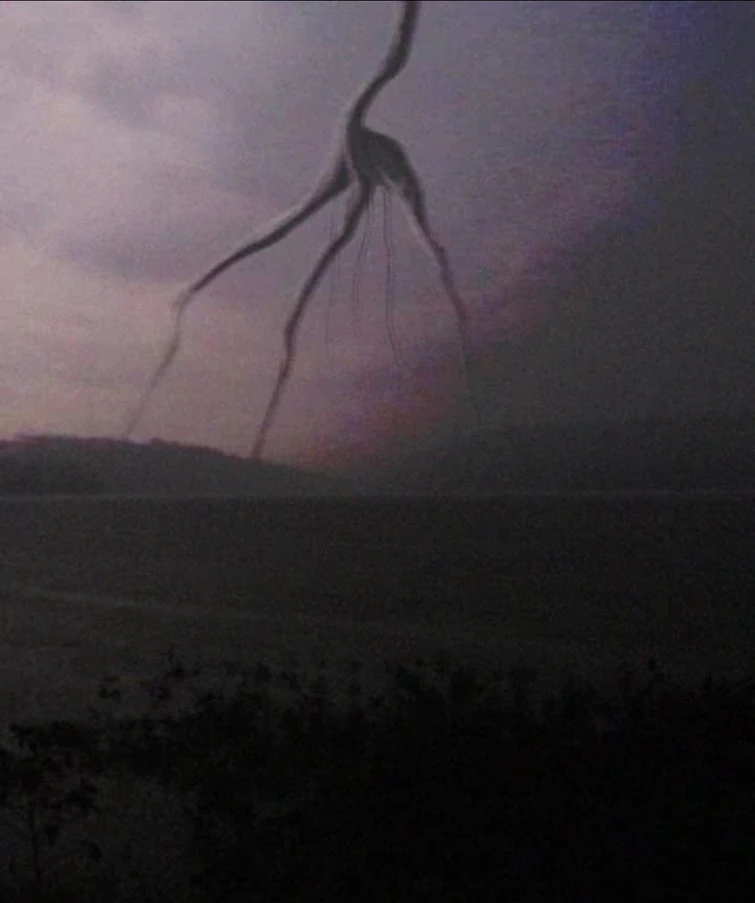 What creature look like this thing | Fandom