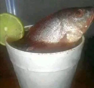 Is my goobab juice okay?? | Fandom