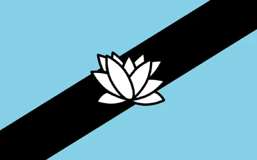 Flag Cup Q3 Match 1. Varangia VS. CAU. Who has a better flag? | Fandom