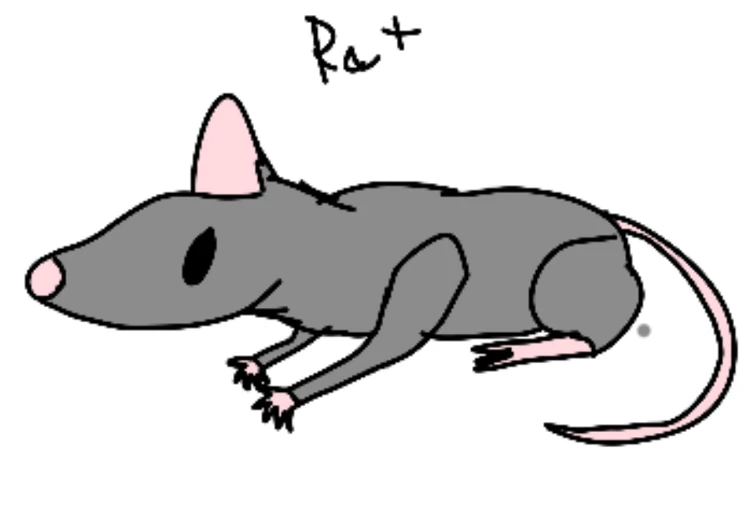 r a t (off topic art) | Fandom