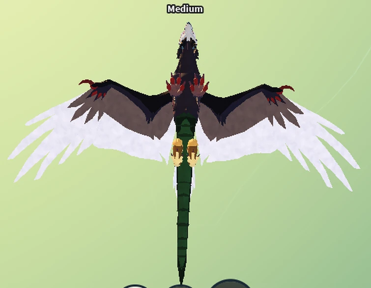 Looking to reserve a reference sheet of my Galiryn oc | Fandom