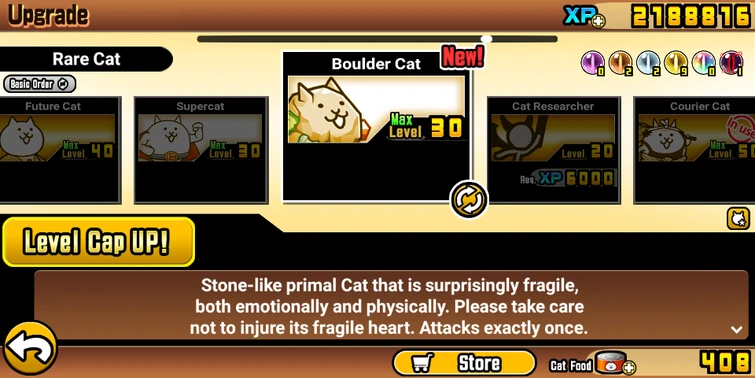 I got boulder cat | Fandom