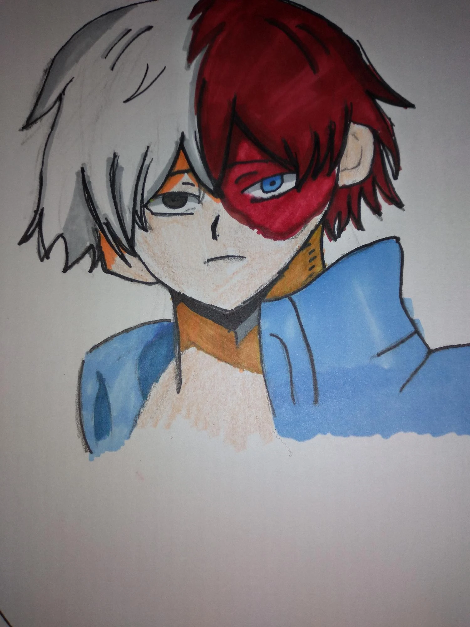 Todoroki won the poll | Fandom