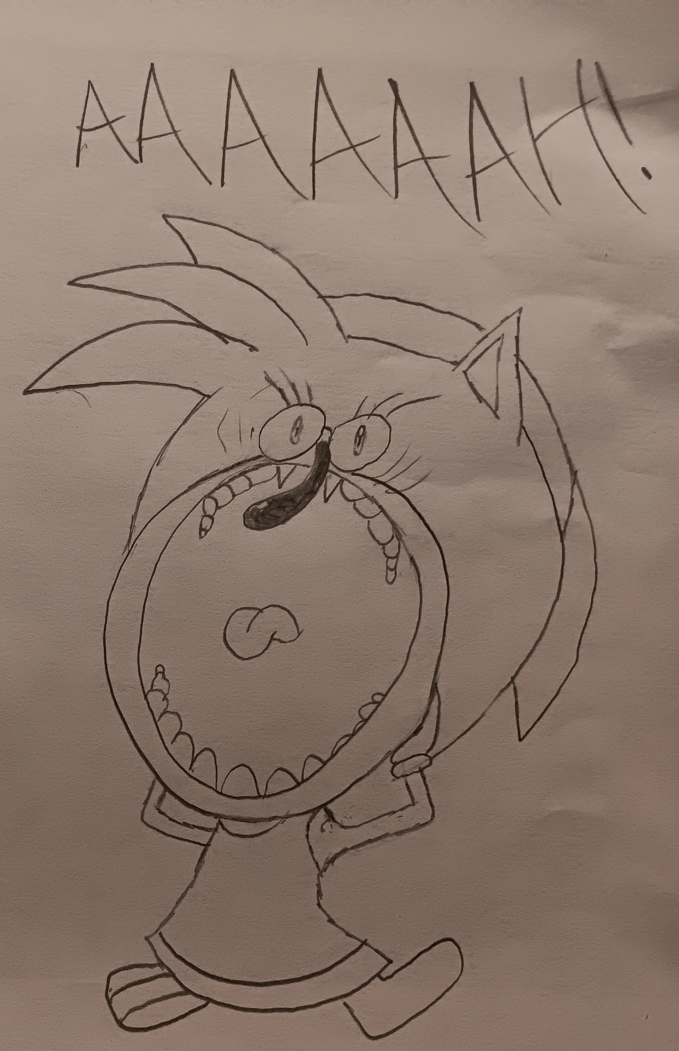 What is Amy Rose Screaming About? | Fandom