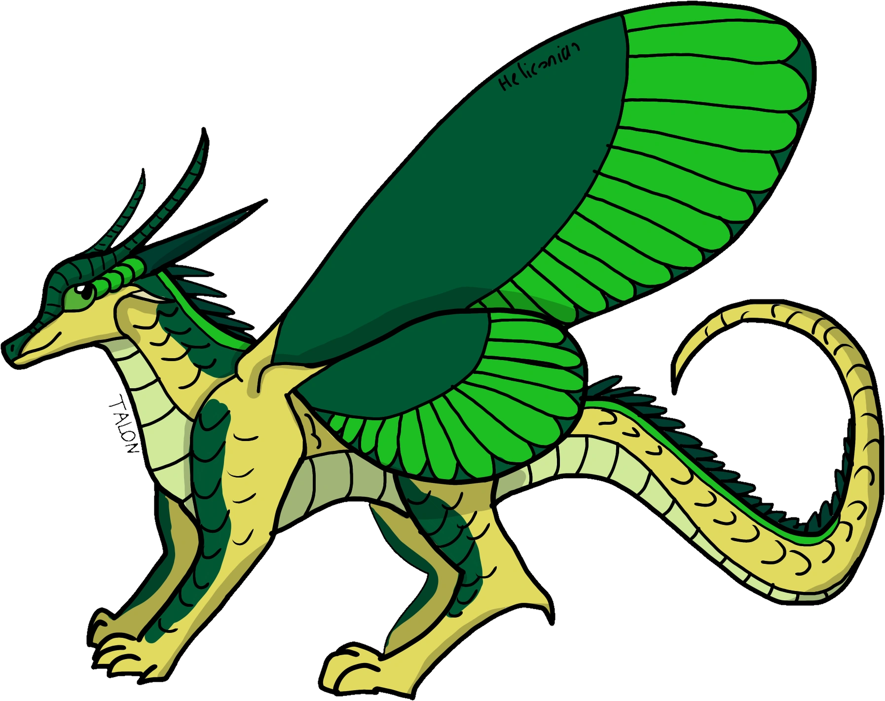 Flamesilk factory dragon head canon designs | Fandom