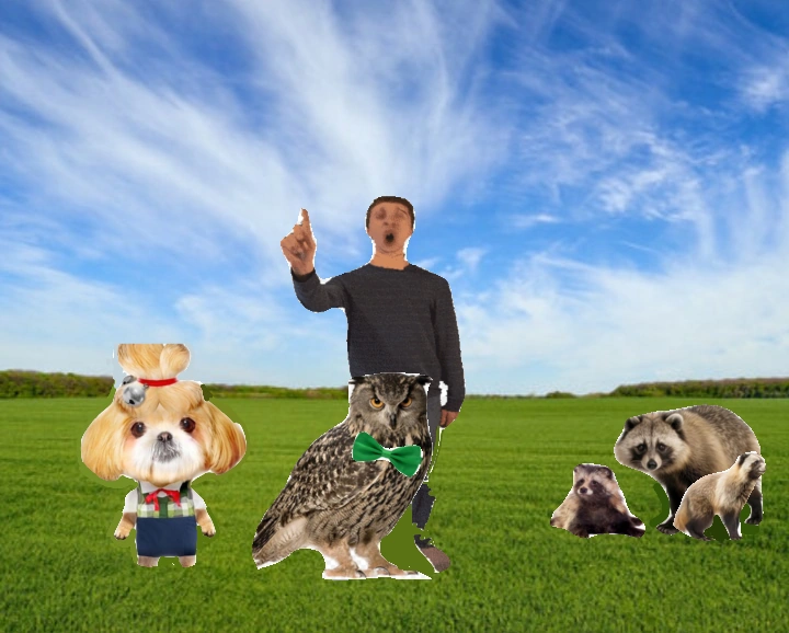 Animal Crossing but in real life | Fandom