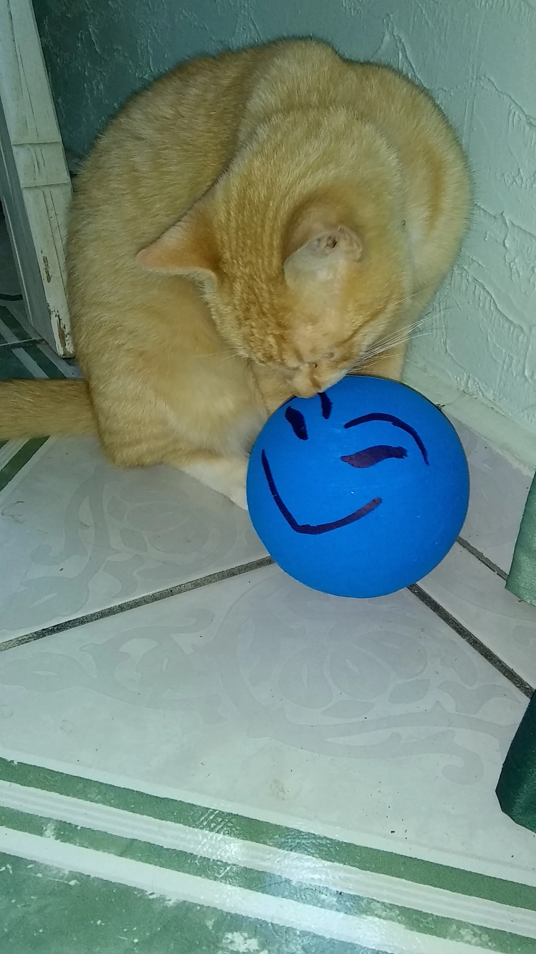 CHEEKY NOOOOOOO!! | Fandom