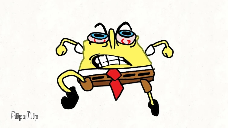 Sponge memes 1 | Fandom