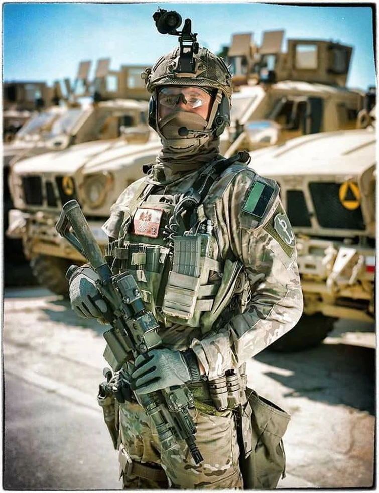 JW GROM operator & several MRAPs | Fandom