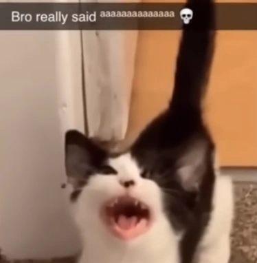 Bro really said. | Fandom