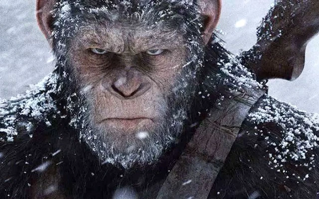 Inspirational quotes with Monke #1 | Fandom