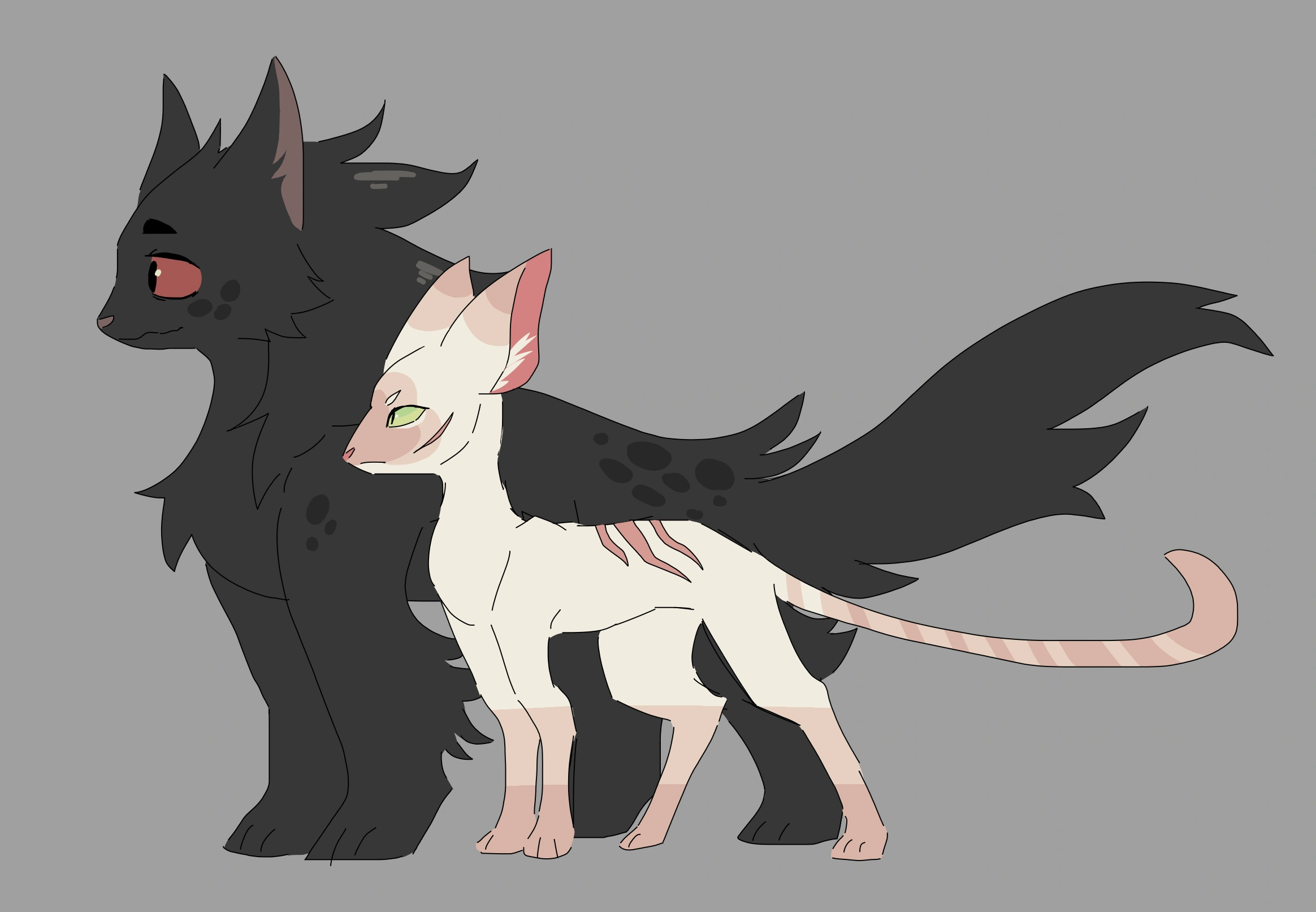 repost of my warriors ocs | Fandom