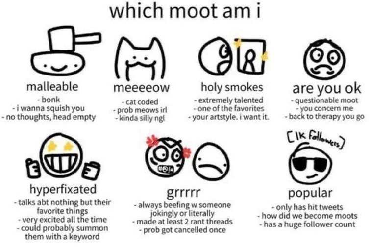 Chat what am i | Fandom