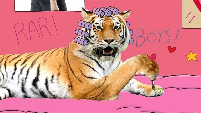 i love you giant realistic flying tiger | Fandom